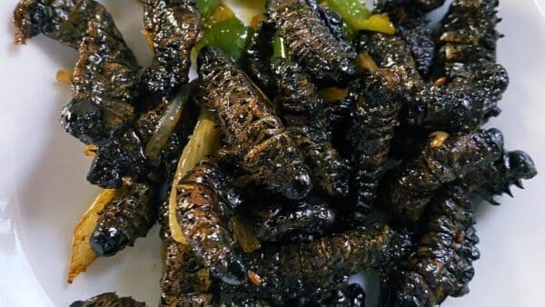 Food In Botswana: What Are They And Where To Eat? - Destination