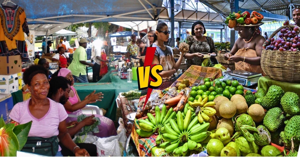 USVI vs BVI: Which Virgin Island Suits Your Travel Style? - Destination